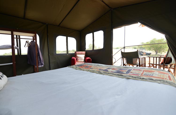 Serengeti and the Great Migration | Escorted Group Tour | Jules Verne