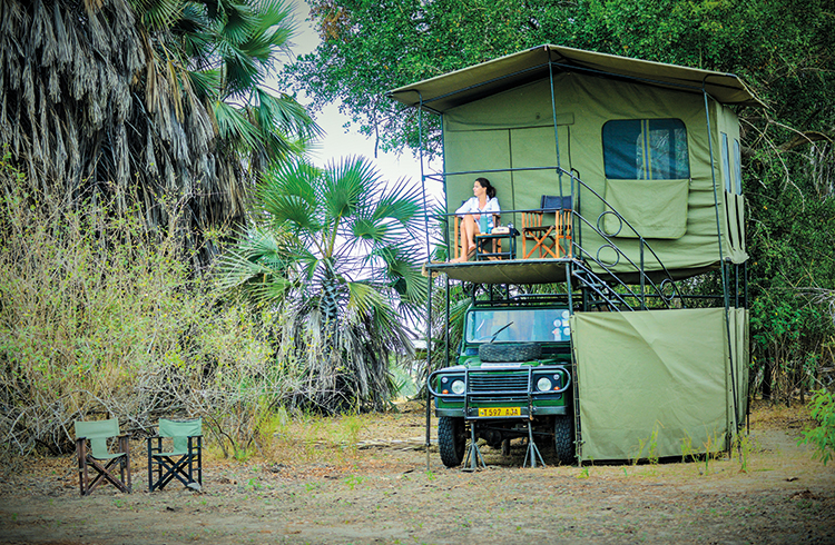 Serengeti and the Great Migration | Escorted Group Tour | Jules Verne